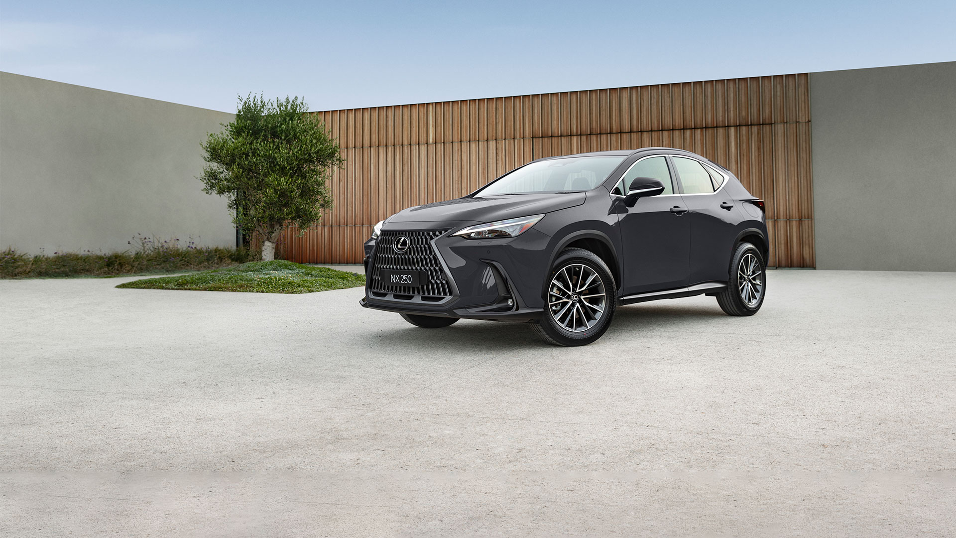 Indooroopilly | New Cars | Service | Lexus
